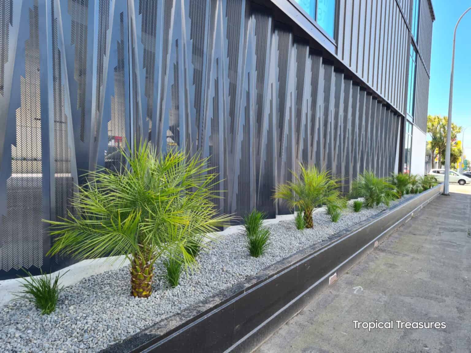 Tropical Plants - Tropical Treasures Taranaki